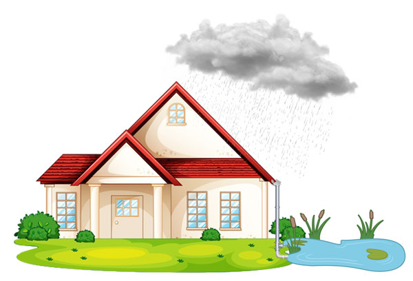 Construção de charco – Charcos com Vida