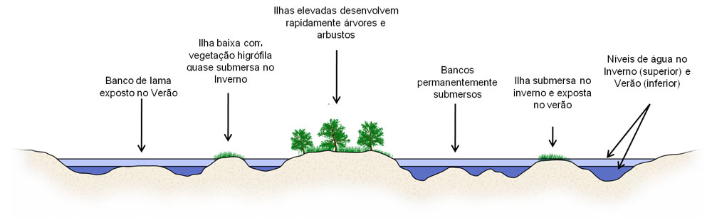 Charcos – Charcos com Vida