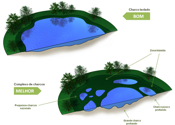 Construção de charco – Charcos com Vida